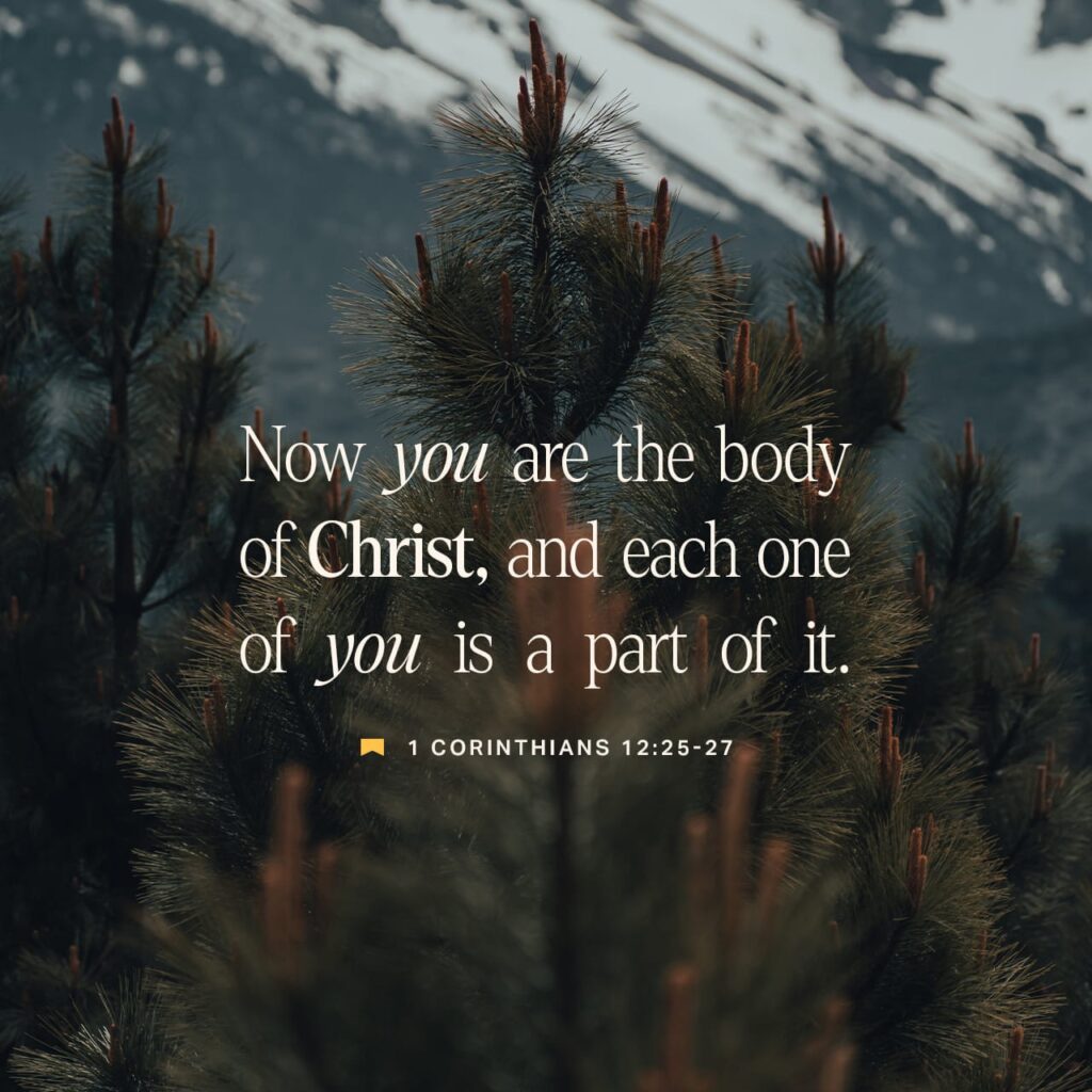 One Body, Many Parts - A Christian Teacher in a Public High School